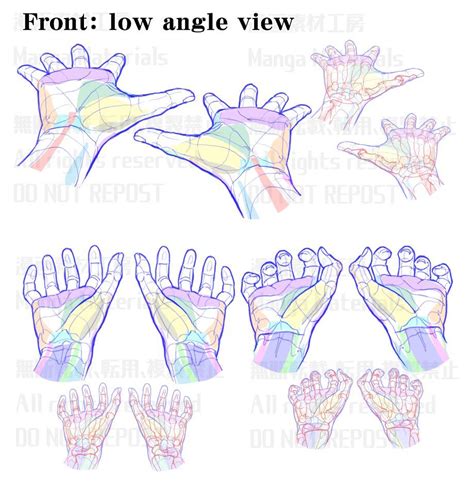 Anatomy References Technical In Anatomy Reference Hand Drawing Reference Human