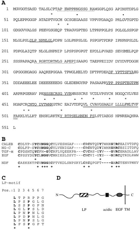 Amino Acid Sequence Schematic Representation Of CALEB And Alignments