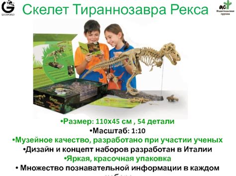 Скелет Тираннозавра Рекса