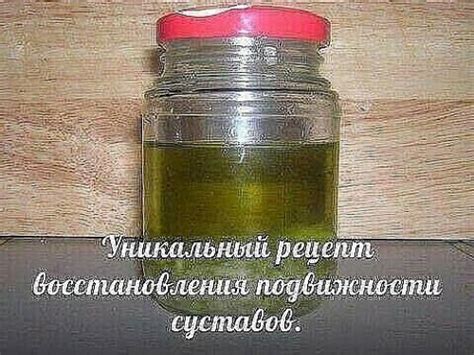 Здоровое питание | Как правильно питаться, что бы сохранить здоровье и ...
