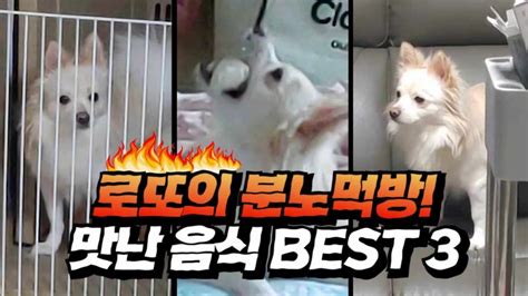 프리미어 프로 25강그라데이션 텍스트로 예능 자막 만들기 네이버 블로그