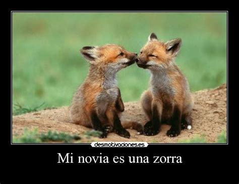Mi Novia Es Una Zorra Desmotivaciones