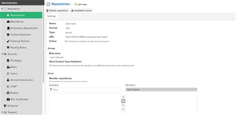 搭建内网开发环境（五）｜基于nexus搭建npm私服 node tgz downloader csdn博客