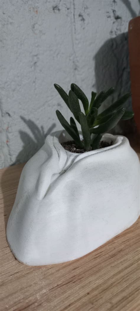 STL Datei Vagina Topf herunterladen Design für den 3D Druck Cults
