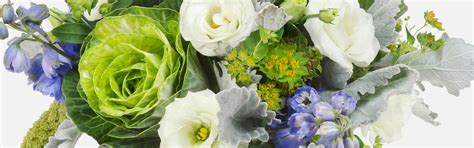 Plantshed Blog The Perfect Passover Flowers For Your Seder Table