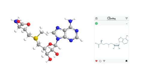 S Adenosyl L Methionine Disulfate Tosylate Bulk Powder Raw Material
