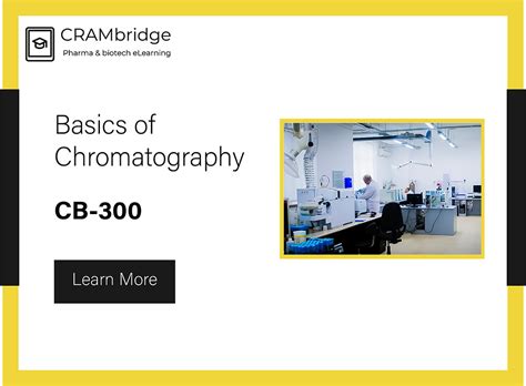 Basics Of Chromatography Crambridge