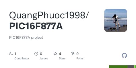 Github Quangphuoc Pic F A Pic F A Project