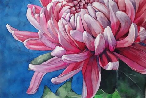 Chrysanthemum Watercolor Skillshare Student Project