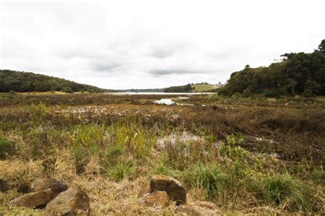 Sanepar divulga tabela de rodízio de Curitiba e Região Metropolitana até de outubro