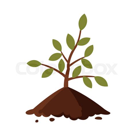 Young Tree Sapling In The Ground Flat Style Vector Illustration On