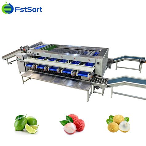 Fstsort Lycheelongandatesjujubecherry Peppersmall Lime Sorting