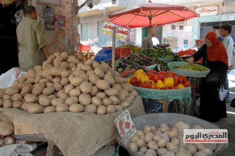البطاطس بـ25 جنيهًا أسعار الخضار في أسواق الإسكندرية اليوم الأحد 14