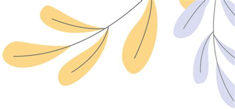 Shofy Multipurpose Ecommerce Laravel Script