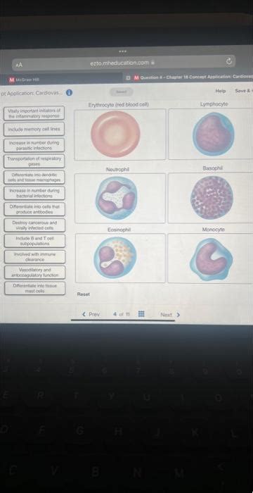 Solved Functions Of Formed Elements Match Each Phrase To The