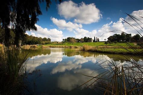 نهر العوجا اليركون فلسطين Palestine Golf Courses Field River