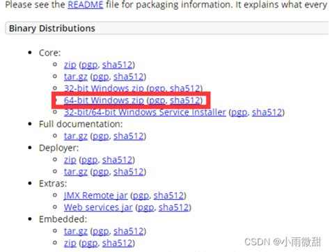 Apache Tomcat 10023下载配置和idea配置apache Tomcat 10023 Windows X64的配置