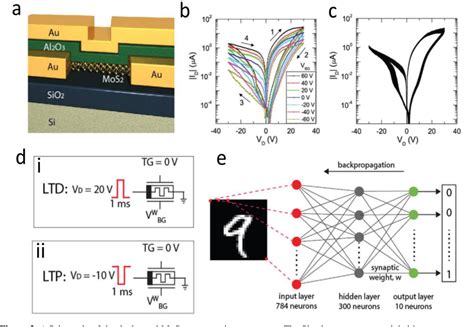 Figure 2 From A Review Of Transforming Neuromorphic Computing With 2d