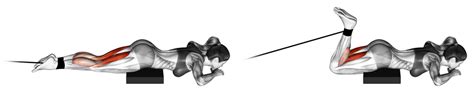 7 Best Resistance Band Hamstring Exercises With Pictures Inspire Us