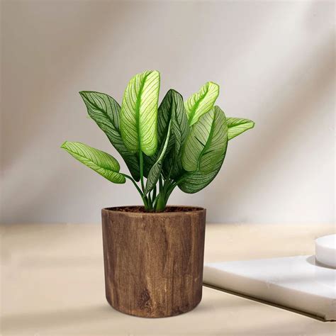 Ceramic Cerami Zeno At ₹ 100 Piece In Khurja Id 2854771745730