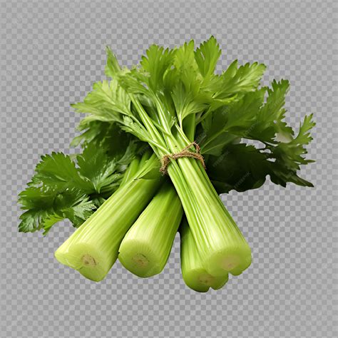 Овощ сельдерея изолирован на прозрачном фоне Зеленый сельдерей png ...