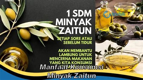 Banyak Yang Belum Tau Ini Dia 8 Manfaat Konsumsi Minyak Zaitun Yang