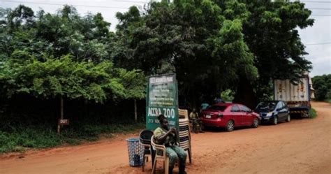 Lion Mauls Man To Death In Ghana Zoo World News Asiaone