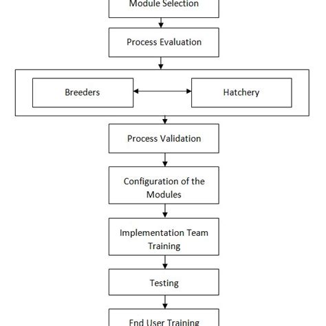 Module Wise Approach Download Scientific Diagram