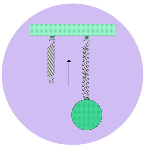Cie Igcse Biology Exam Style Questions And Notes Iitian Academy