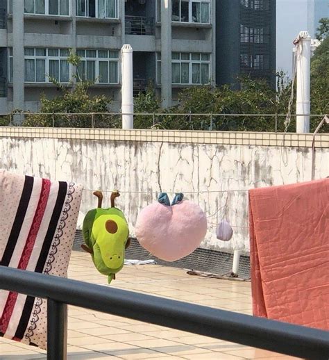 有哪些让人笑到肚子疼的搞笑图片？（二十五） 知乎