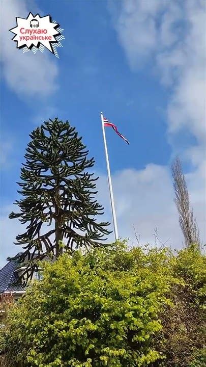 Я шукала тебе Youtube