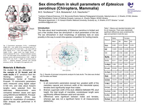 Pdf Sex Dimorphism In Skull Parameters Of Eptesicus Serotinus Chiroptera Mammalia