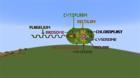 I Made A Protist Cell Rminecraftbuilds