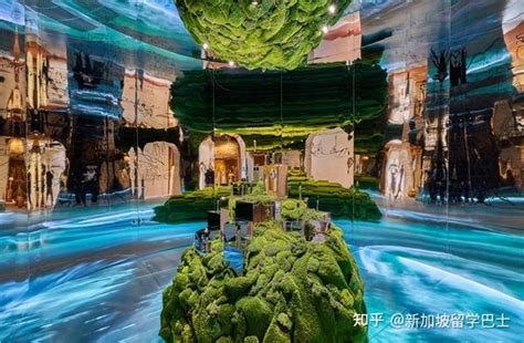 新加坡艺术留学靠谱吗2023新加坡艺术学院排名附申请要求 知乎