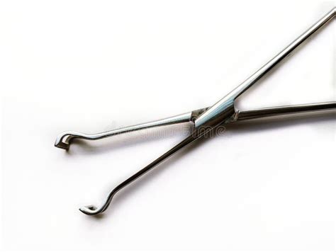 Babcockâ€™s Tissue Holding Forceps Medical Or Surgical Instruments