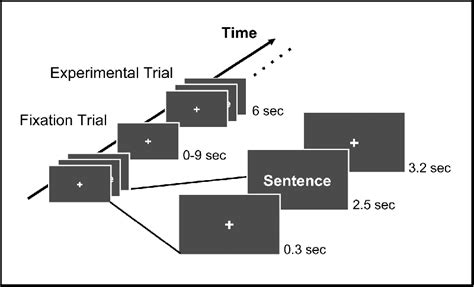 figure 1 from functional anatomical organization of predicate metaphor