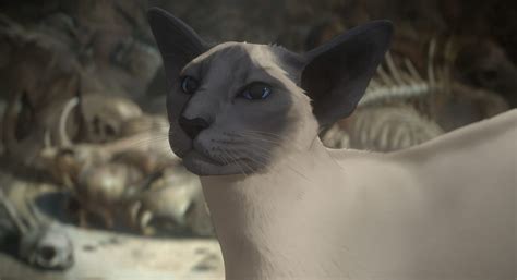 Sonho de Mil Gatos Calíope Crítica episódio bônus de Sandman
