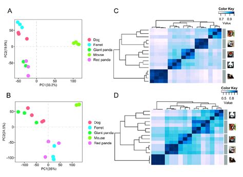 Pca And Clustering Analyses Of The Mrna Expressions For All Samples Download Scientific