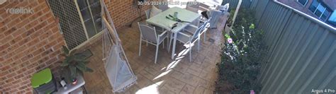 Reolink Argus 4 Pro Review Did The Best Just Get Better Safewise