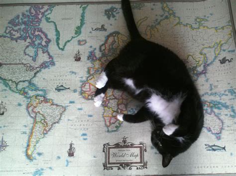 10 Minutes To Learn Power Apps Maps Matthew Devaney