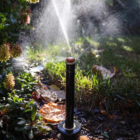 Irrigation The Secret To A Lush Landscape And Lawn
