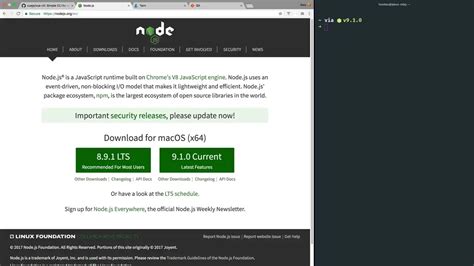 Get Started With The Mighty Vue Cli A Vuejs Lesson From Our
