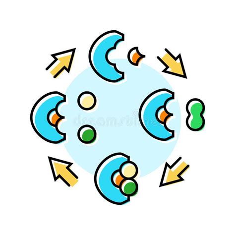 Coenzymes Biochemistry Color Icon Vector Illustration Stock