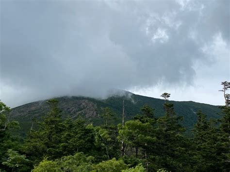 早池峰山はやちねさん日本百名山新日本百名山花の百名山1遠野三山 醍醐山と下部しもべ温泉 楽天ブログ