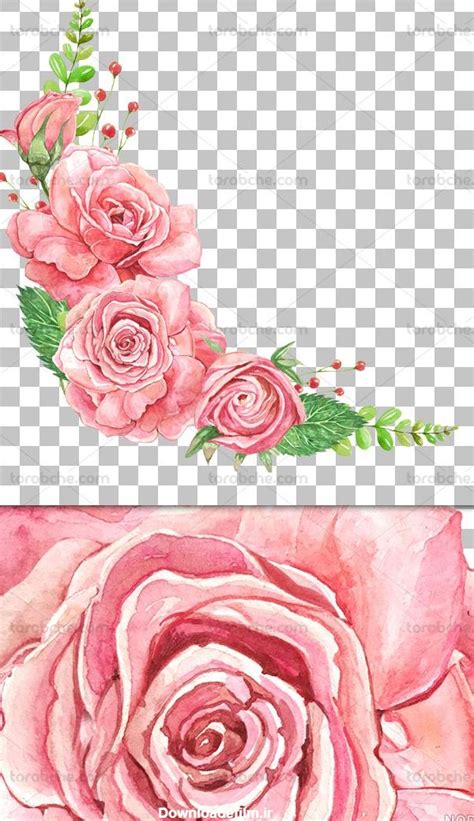 عکس نقاشی گل حاشیه