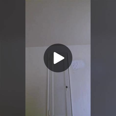 Tiktok · Wolf Of Fitness Wolf Gang Bryant Massingale