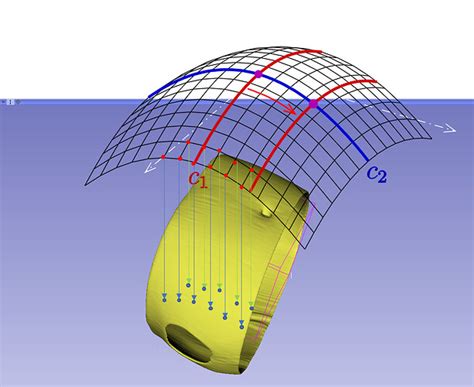Grid Projection To Make Uniform Landmarks Development 3d Slicer