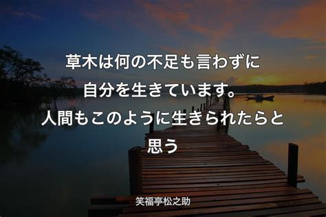 【背景3】草木は何の不足も言わずに自分を生きています。人間もこのように生きられたらと思う 笑福亭松之助