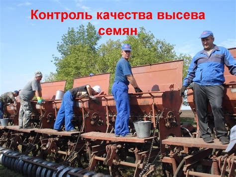 Экологические испытания сортов озимой пшеницы - презентация онлайн