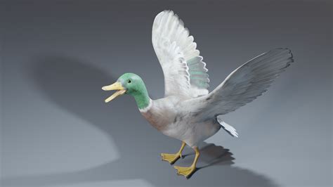 Stl File Photorealistic Duck Posable Rigged [stl File Included ] 🦆